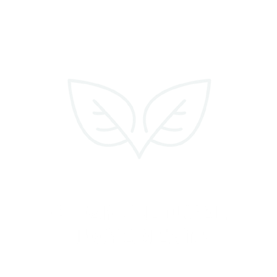 Home | Vision Edge PRO